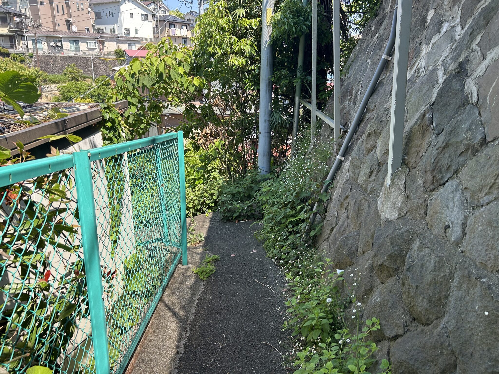 【真鶴 観光スポットレポ】真鶴の背戸道 - 路地裏に残るノスタルジックな町の風景 | 湘南人